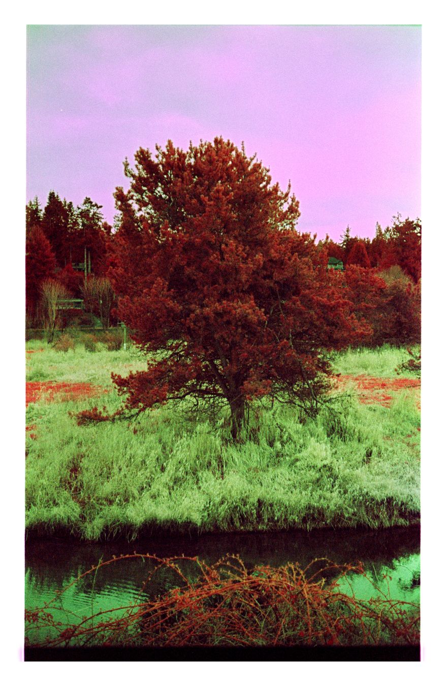 Film Photography News — April 2025 Recap