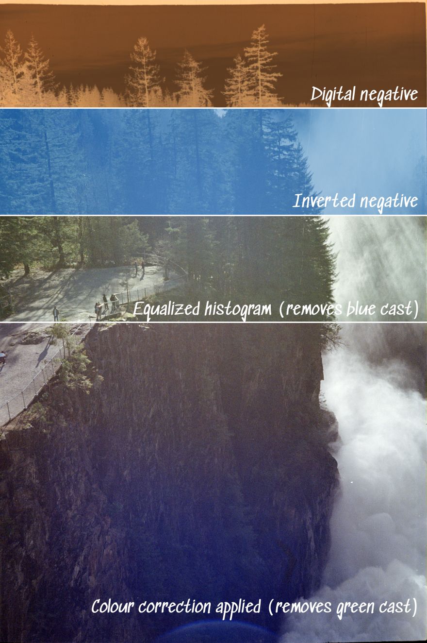 Do you use a color calibration target when shooting film?