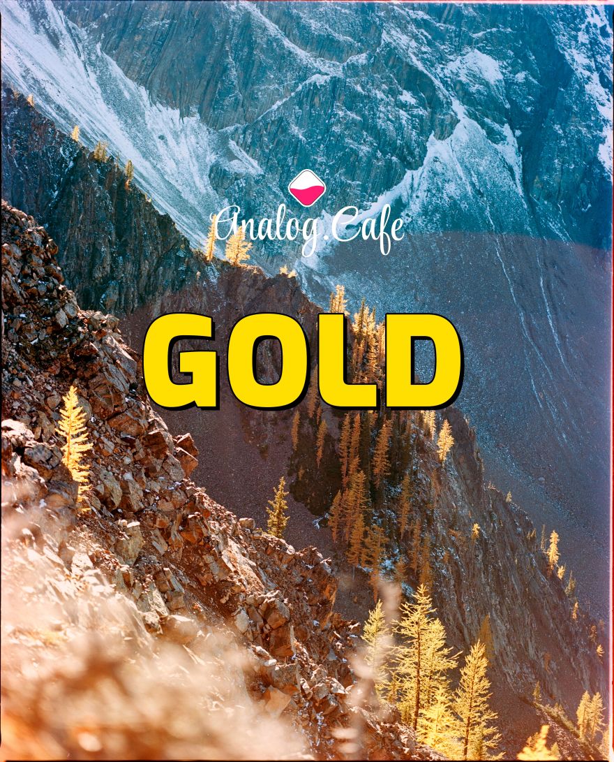 Introducing: GOLD Memberships