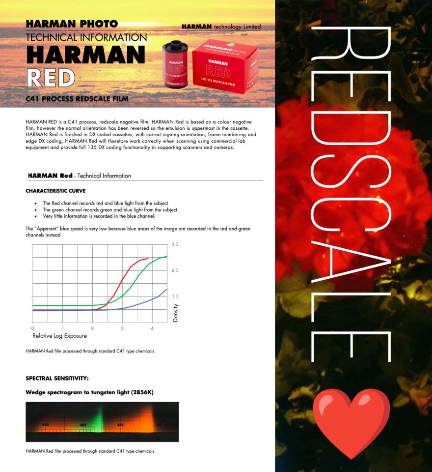 New colour film: Harman Red 125!