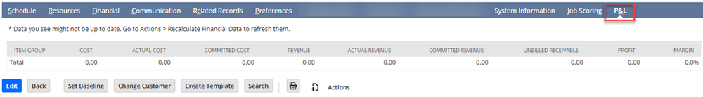 How to Customize the P&L Tab on Project Records | NetSuite