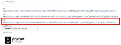 How to Fix the NetSuite PDF Logo Sourcing Error