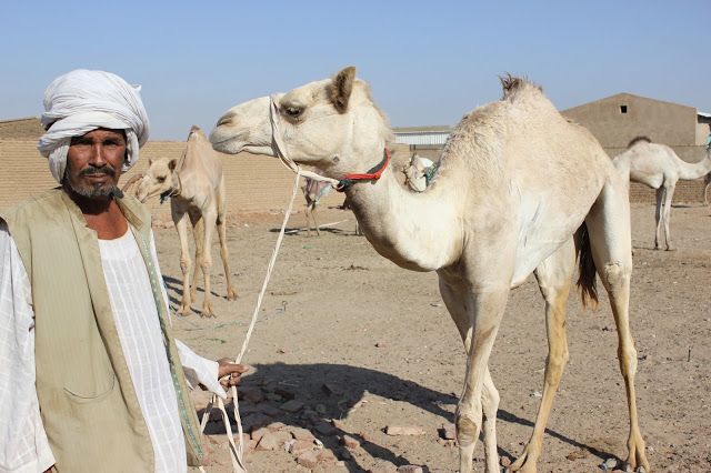 Desert Wanderer: Along the Atbara River by Nubian Nomad