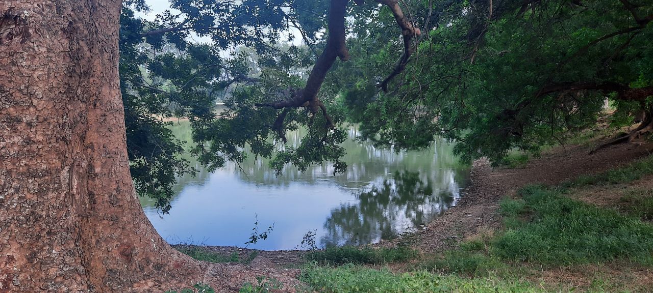 Exploring El Obeid: Seven Things To Enjoy in the "Bride of the Sands ...