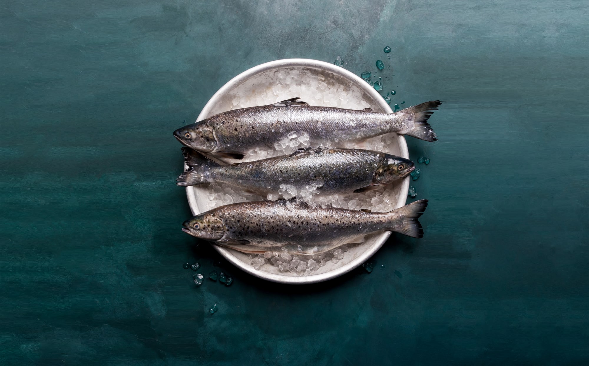 Christmas greetings from Andfjord Salmon
