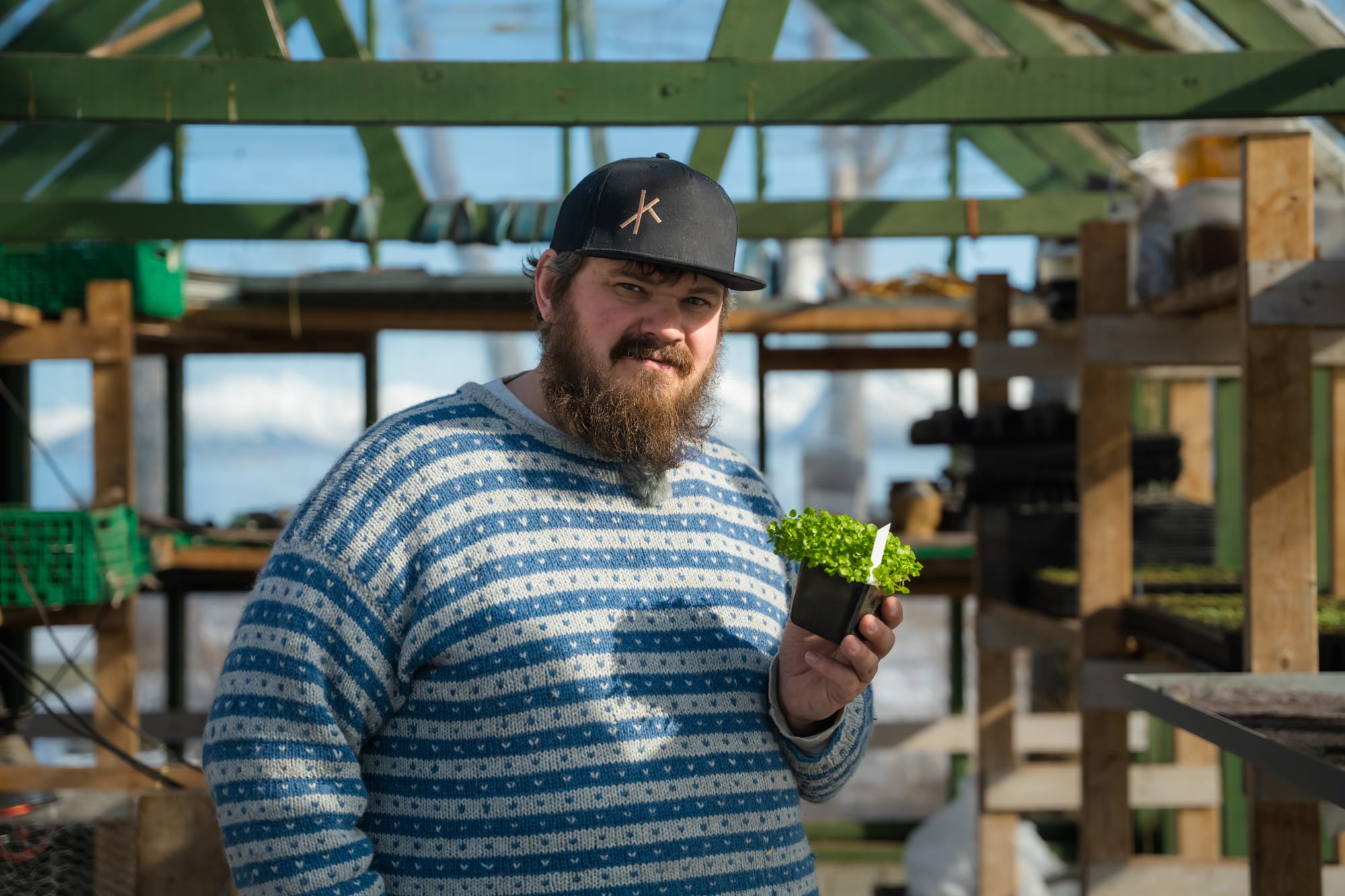 The star chef who moved back home to become a farmer