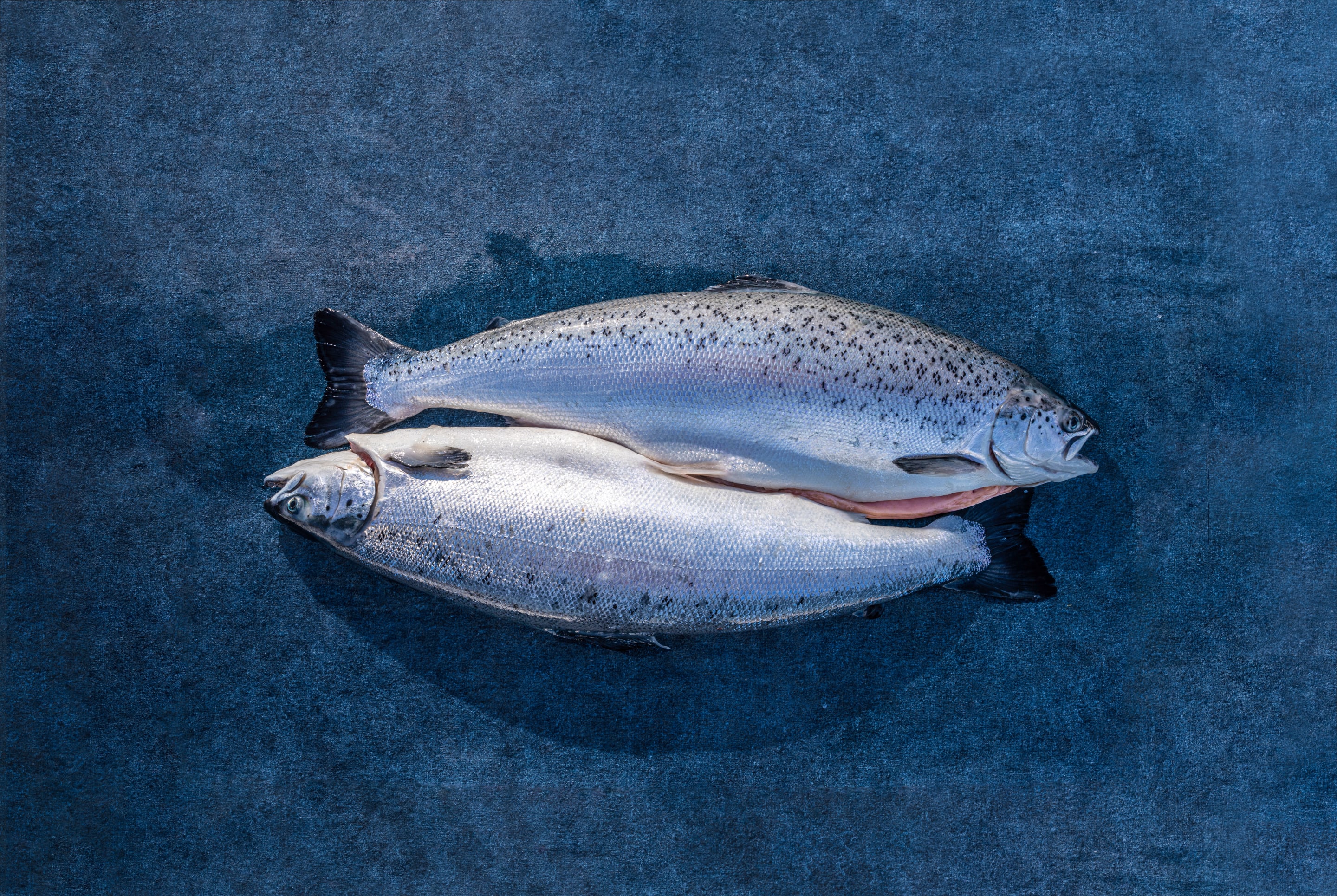 Chef Halvar Ellingsen: – Nice colour, texture, taste, and structure