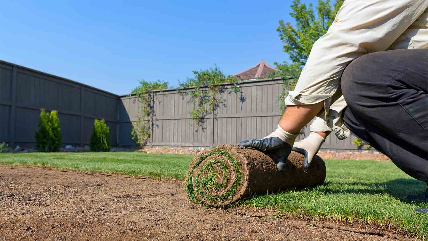 Who Should I Hire to Install Sod? | Angi
