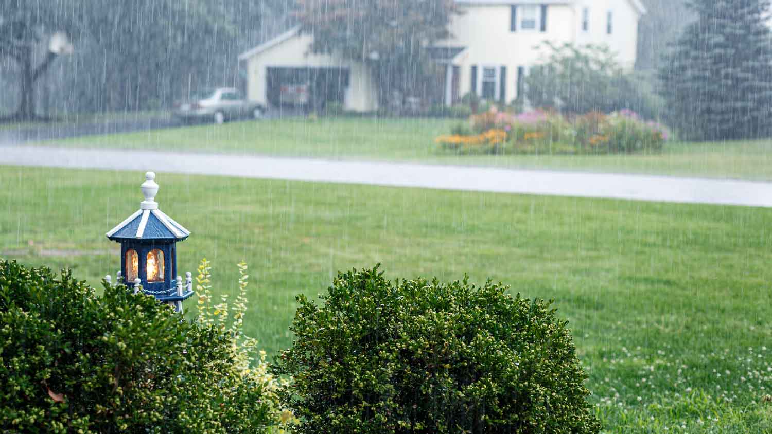 Who Should I Hire to Repair My Sump Pump? | Angi