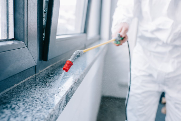 How Much Does Pest Control Cost in Phoenix, AZ? | Angi