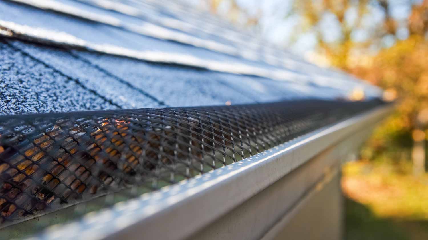 Types Of Gutter Guards [2026 Guide] | Angi