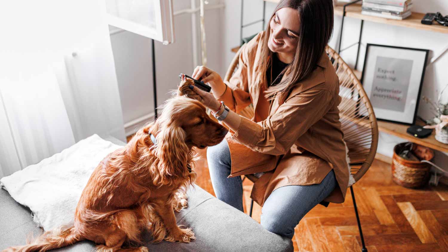What Are Fleas? | Angi