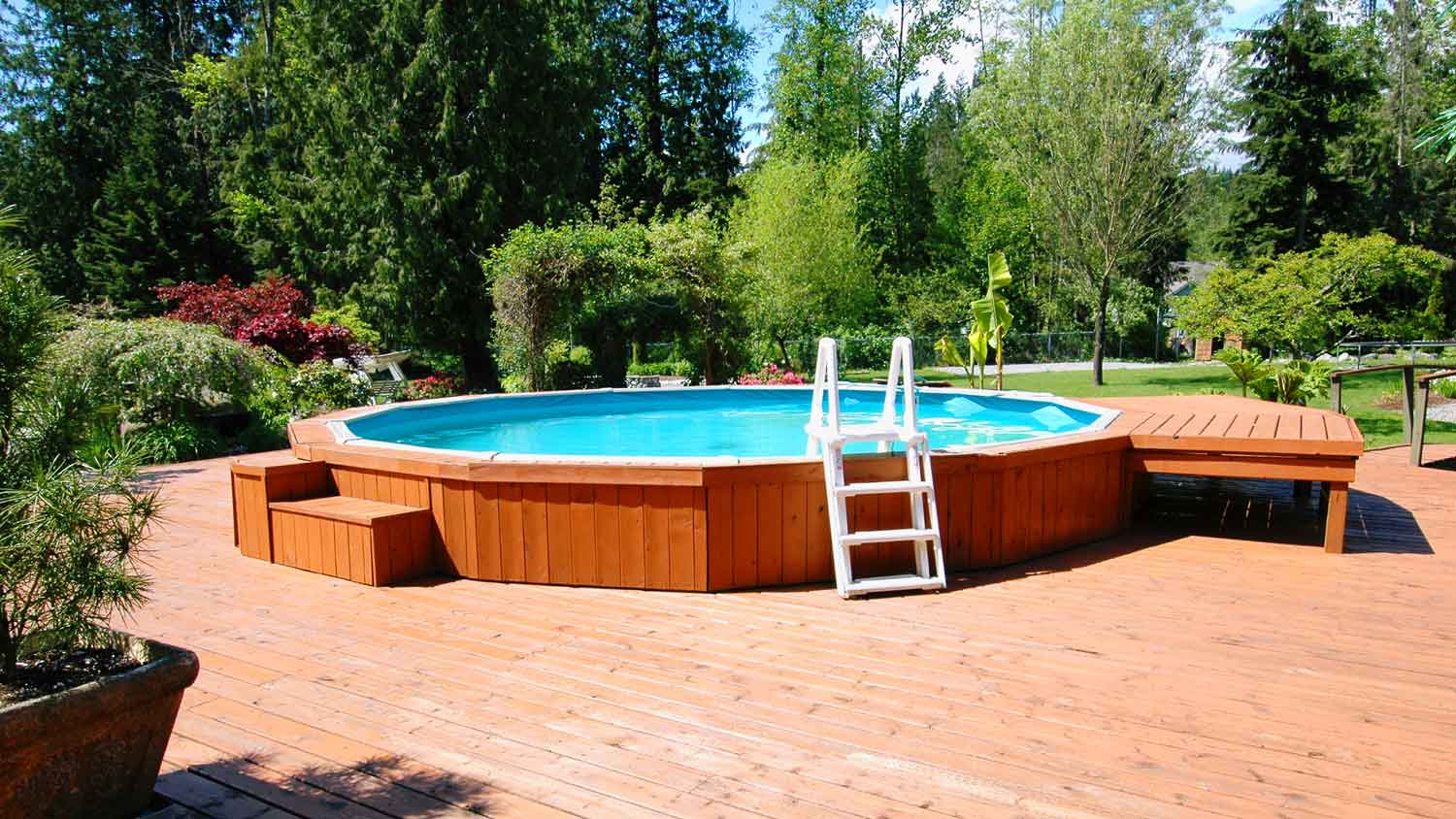 How to Shock a Pool: Above and Inground Pool Maintenance | Angi