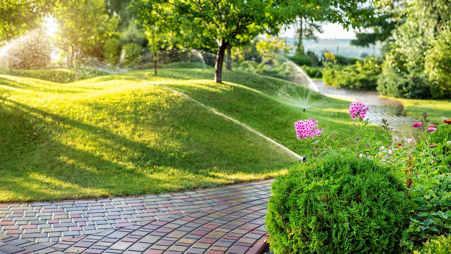 How Much Does a Lawn Sprinkler System Cost in Detroit, MI? | Angi