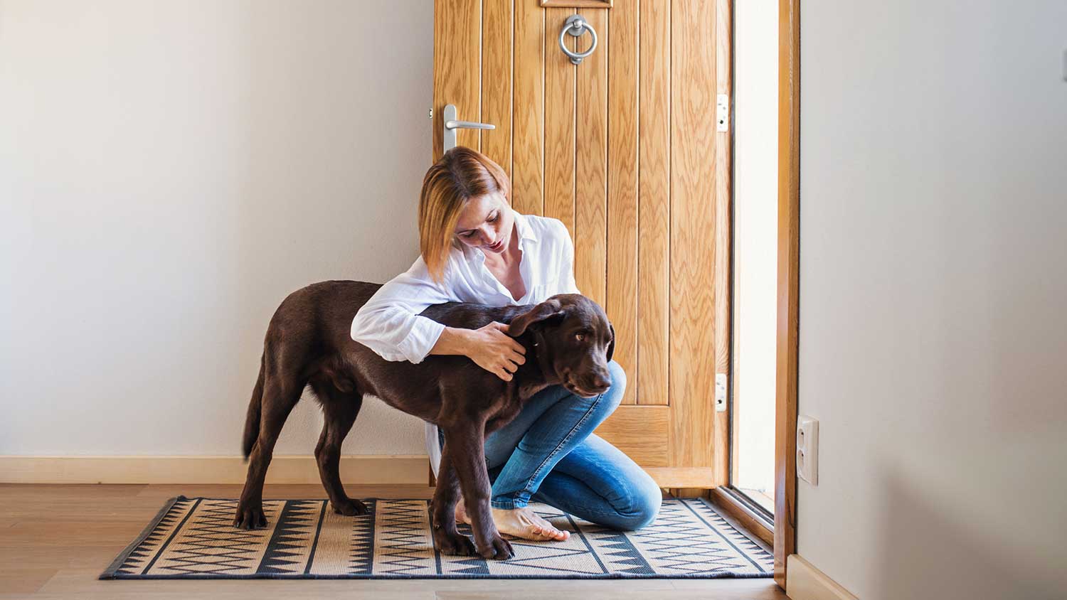 How To Fix Dog Scratches On Wood Door | Angi