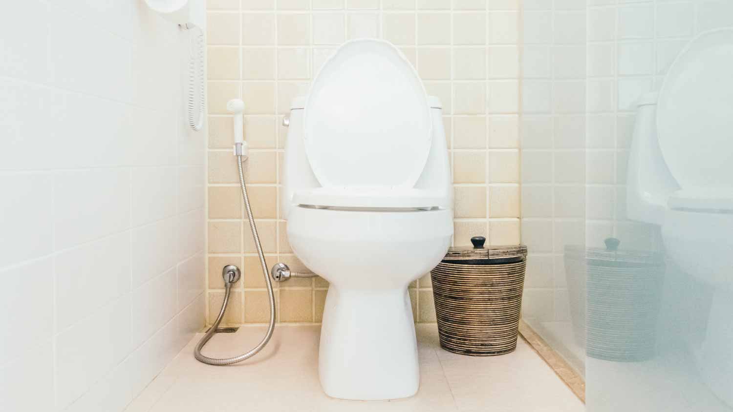 Why Is My Toilet Bowl Sweating? 4 Reasons Why | Angi