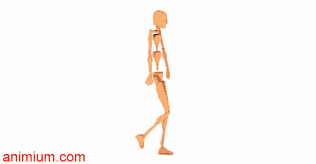 Walk cycle character animation