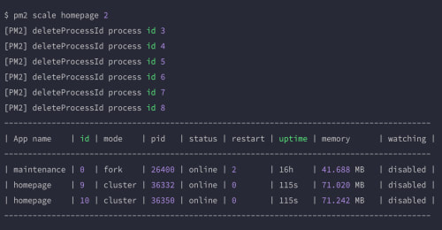 Pm2 nodejs hướng dẫn kỹ sư cao cấp