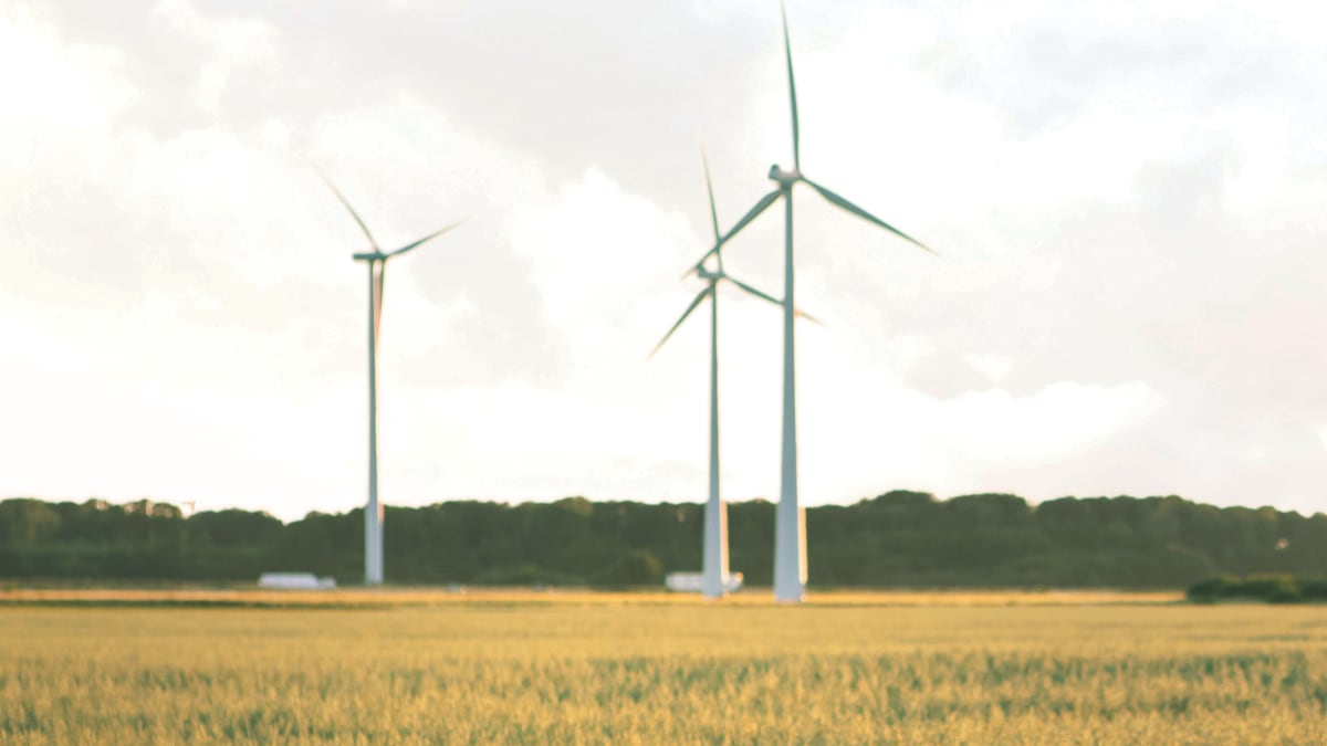 Anora's materiality assessment survey is open | Anora