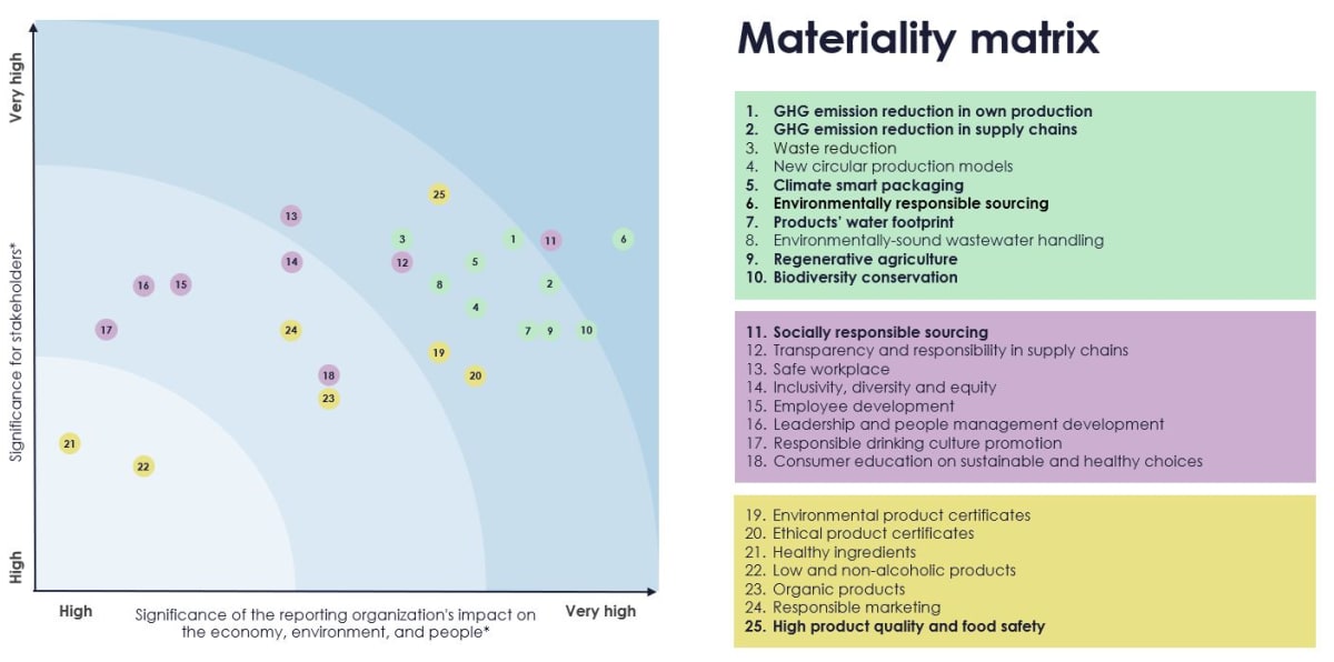 Materiality analysis | Anora