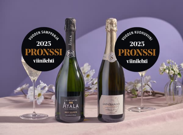 Vuoden Viinit 2025 -kilpailun mitalisteja | Viinimaa