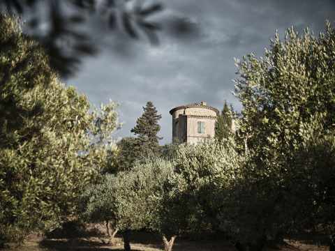 Château Pech-Latt Grand Vin | folk o folk