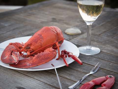 Gratinerad hummer med parmesan | folk o folk