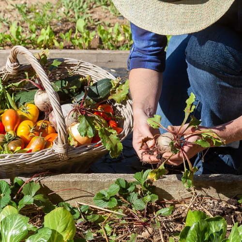 Tips på restauranger, resmål och aktiviteter | Folkofolk