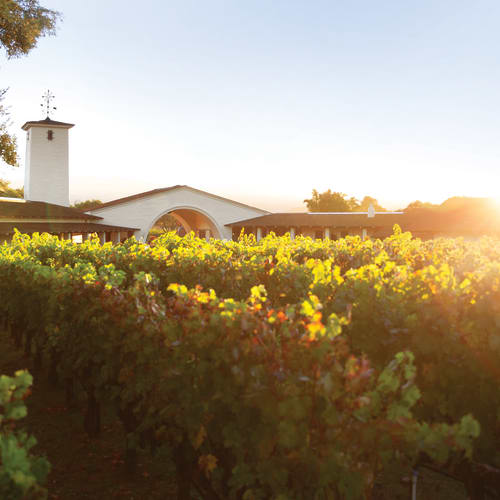 Robert Mondavi Winery | Philipson Söderberg
