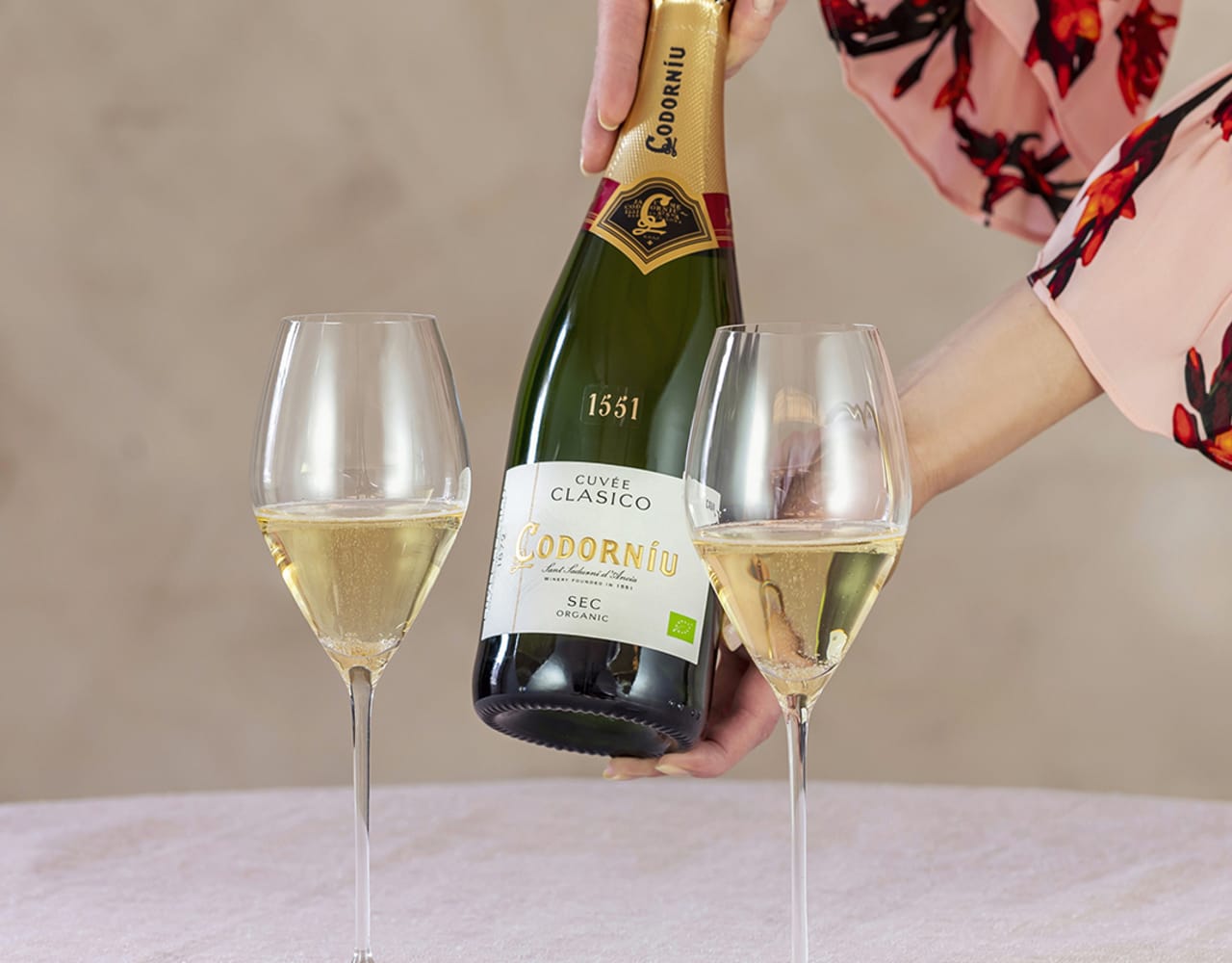 Kuohuviinit – katso viinisuositukset ja käyttövinkit | Viinimaa