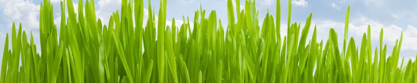 Naturet lämmönsiirtoneste | Anora Industrial