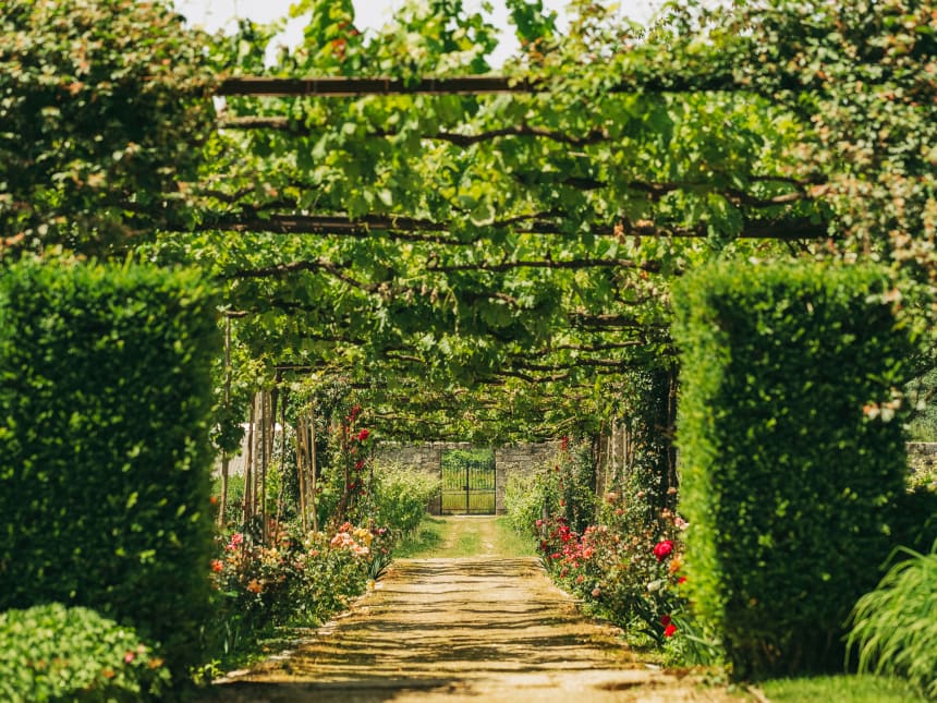 Rakastu Vinho Verde -viineihin – haastattelussa Aveledan pääviinintekijä Diogo Campilho | Viinimaa