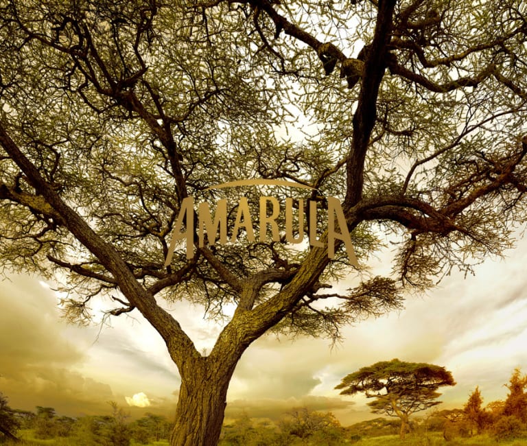 Amarula, pehmeän herkullinen eteläafrikkalainen kermalikööri | Viinimaa