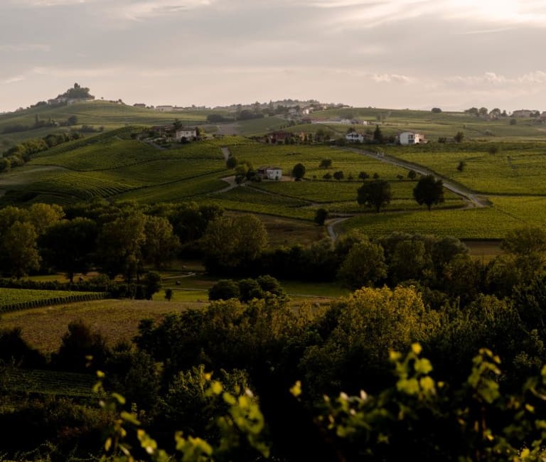 Il Falchetto | Philipson Söderberg