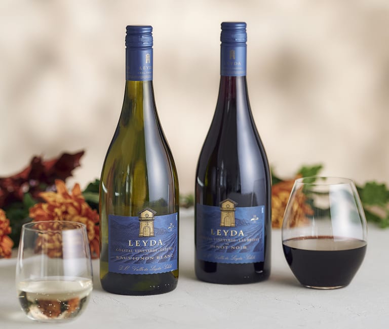 Leyda-viinit Chilestä | Viinimaa