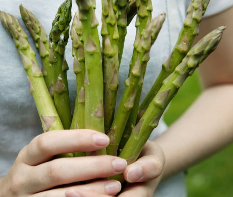 Marinoitu parsa parmankinkulla | Viinimaa