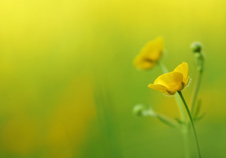 Naturet heat transfer fluids | Anora Industrial