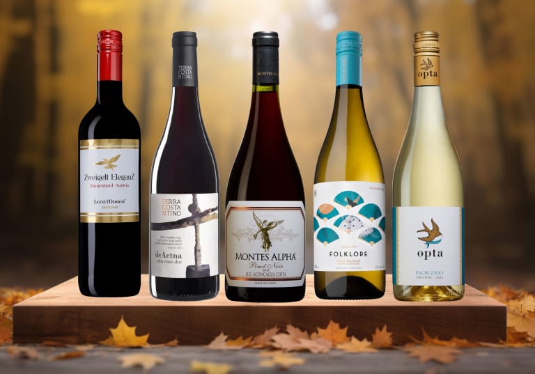 Höstens bästa viner på Systembolagets hyllor | folk o folk