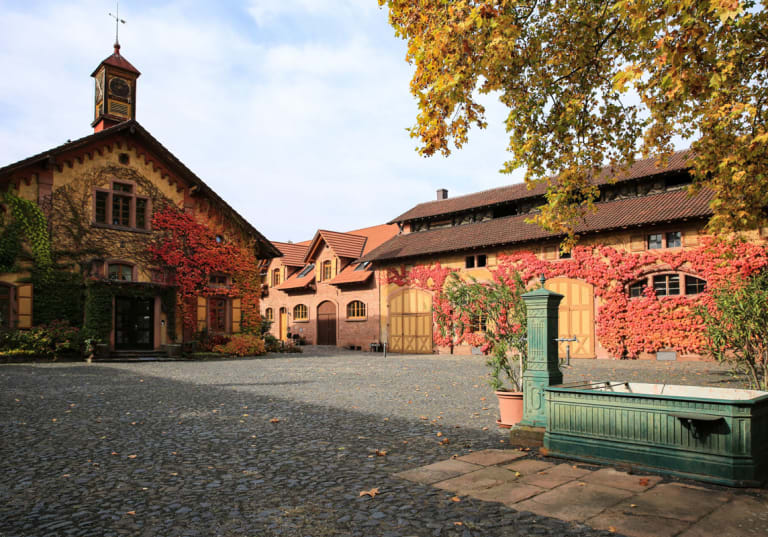 Villa Wolf | folk o folk