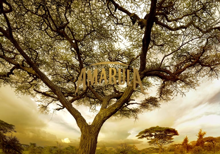 Amarula, pehmeän herkullinen eteläafrikkalainen kermalikööri | Viinimaa