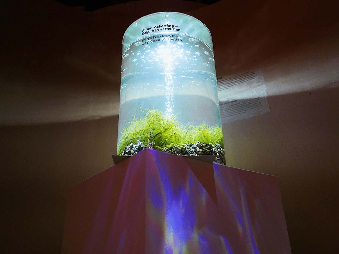 Framtidens mat och dryck enligt Spritmuseum | folk o folk