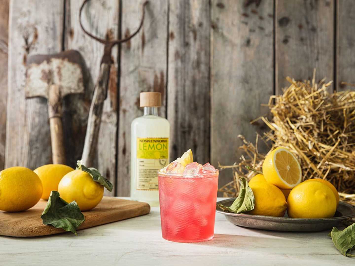 Cranma - citrusdrink med tranbär | folk o folk