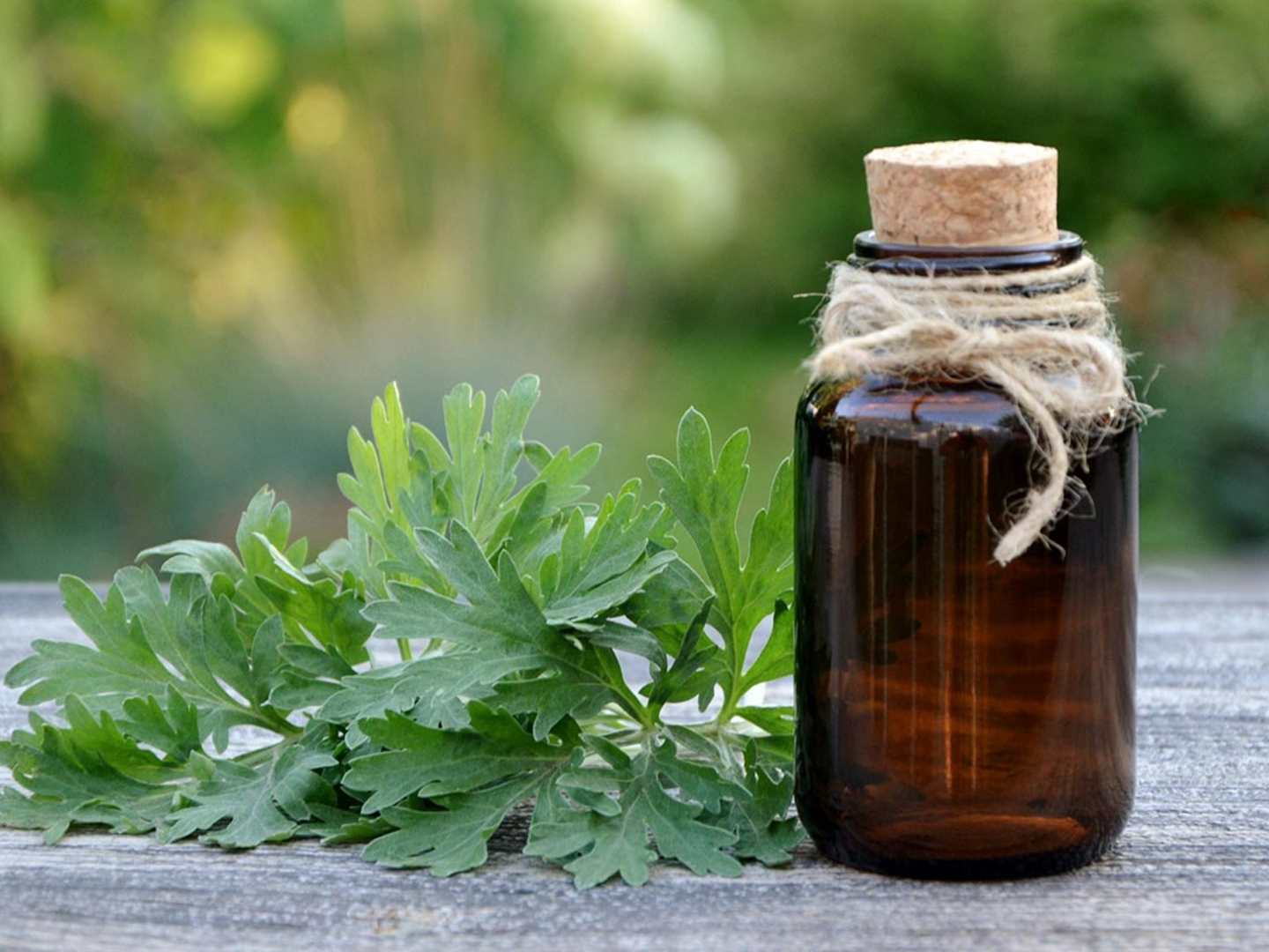Bitters - den bitterljuva sanningen om malört | folk o folk