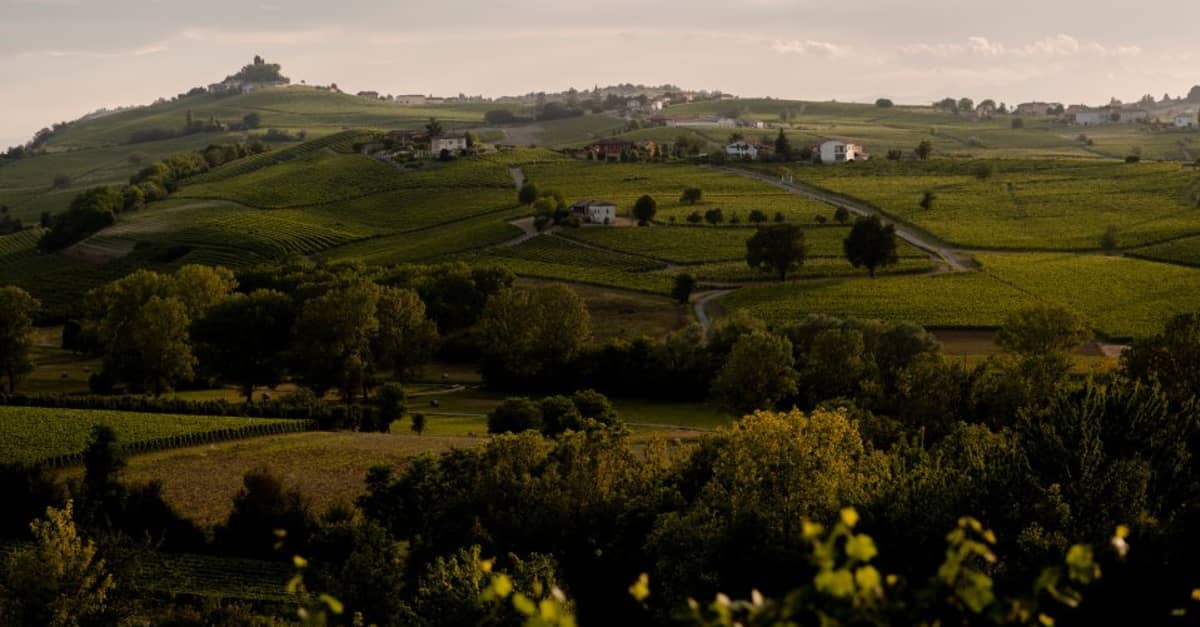 Il Falchetto | Philipson Söderberg