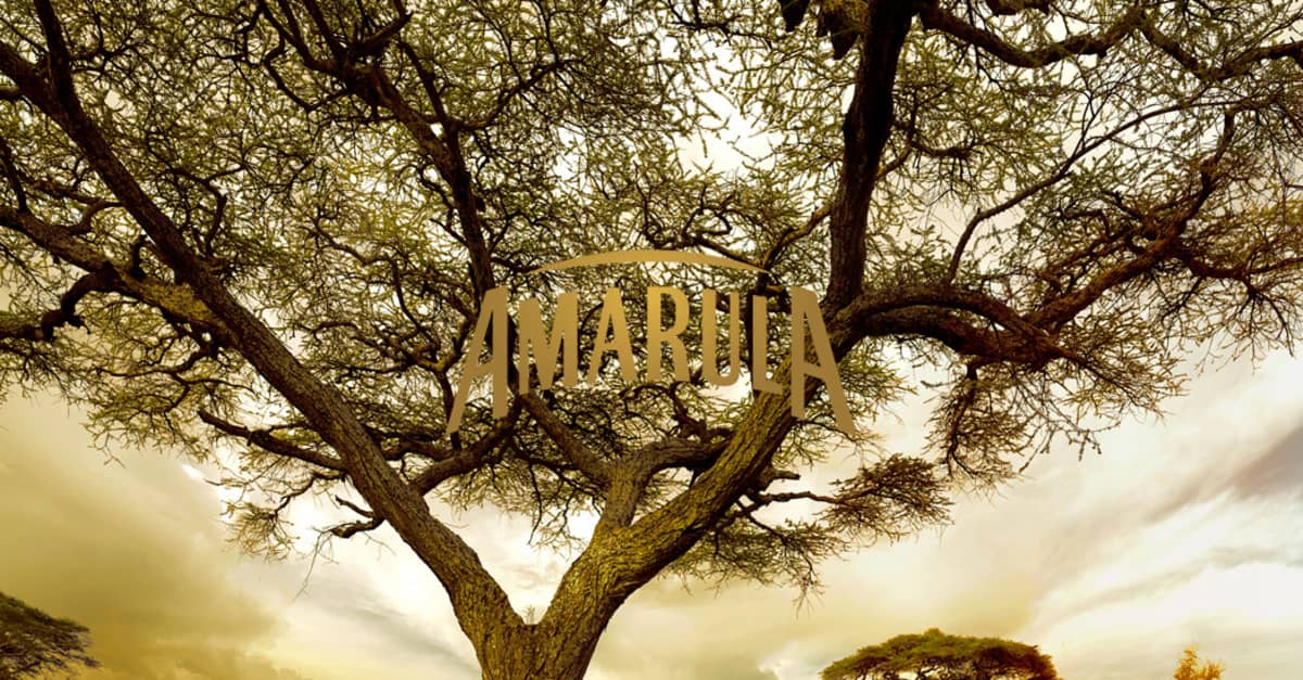 Amarula, pehmeän herkullinen eteläafrikkalainen kermalikööri | Viinimaa