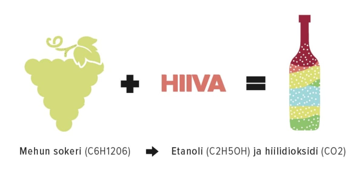 Viinin valmistus | Viinimaa.fi | Viinimaa