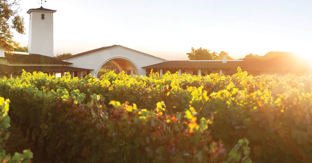 USA | Philipson Söderberg