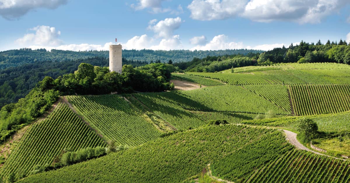 Weingut Robert Weil | Philipson Söderberg