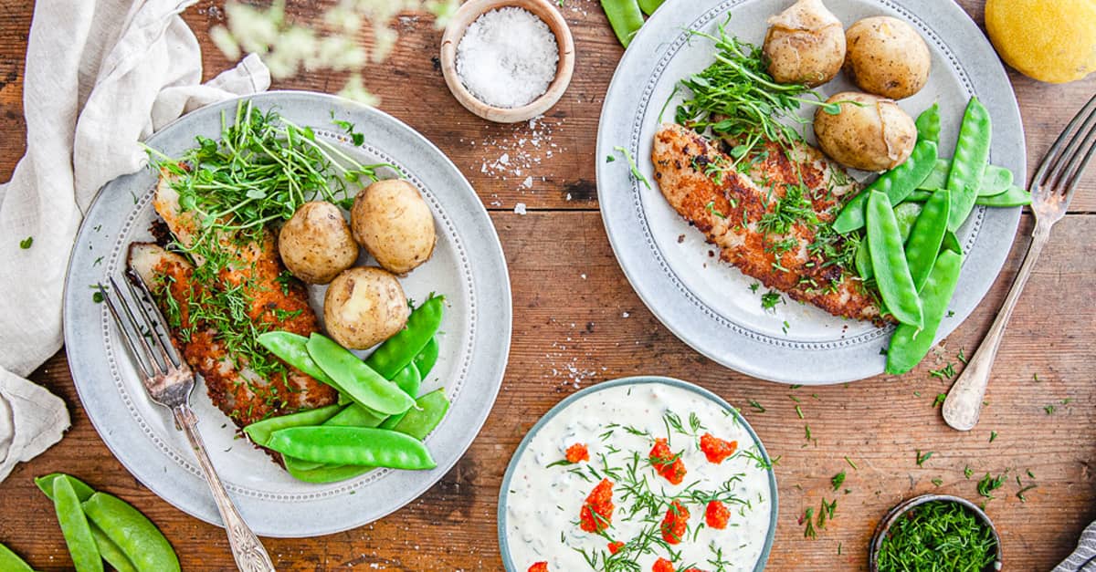 Smörstekt abborre med färskpotatis och gräddfilssås | folk o folk