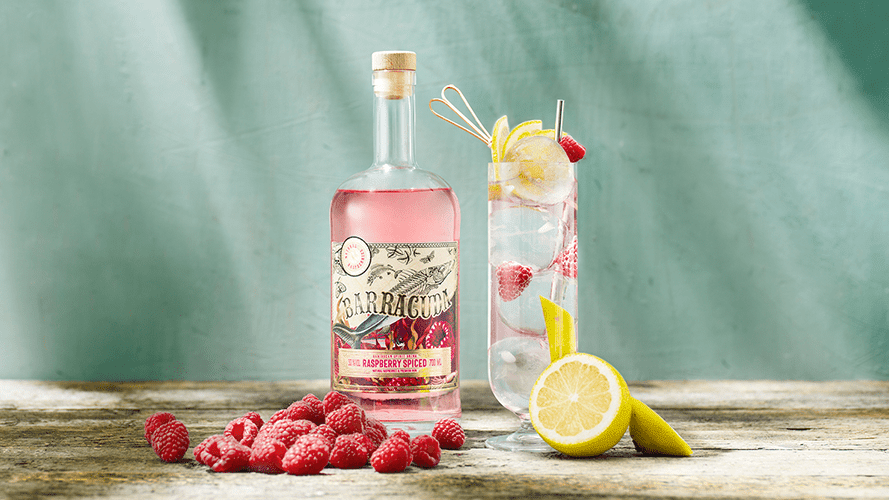 Raspberry Spiced Lemonade